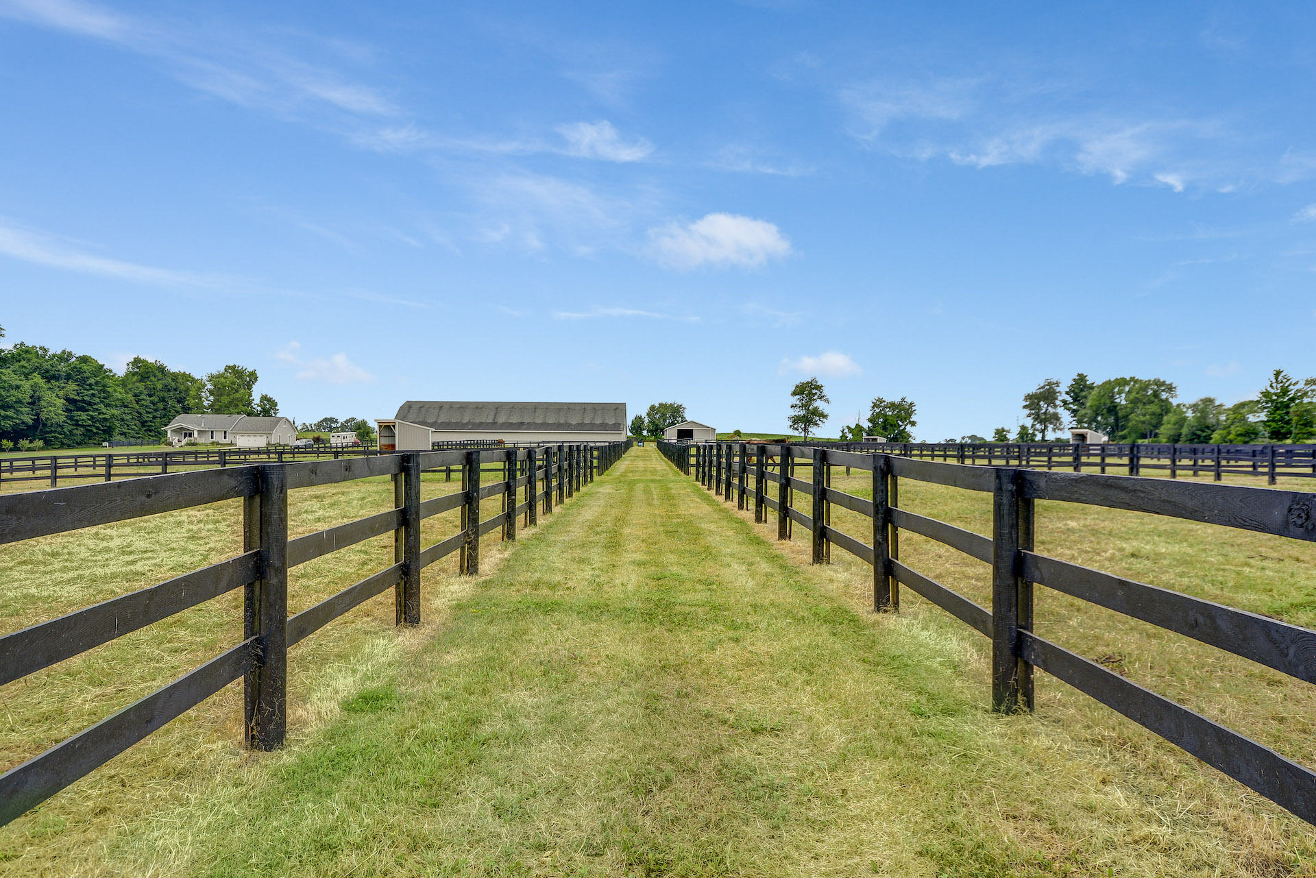 Buy Equestrian Property | Visible Homes